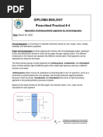 Plant Pigment Separation by Chromatography | PDF | Solvent | Chromatography