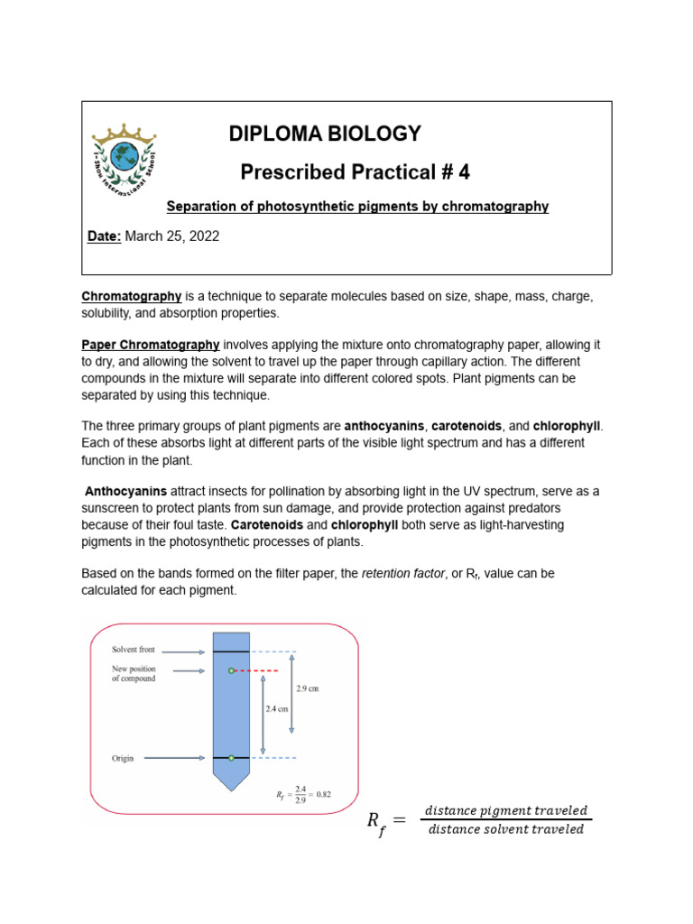 Owen - 2.9 Chromatography Lab (Practical #4) | PDF | Chromatography | Photosynthesis