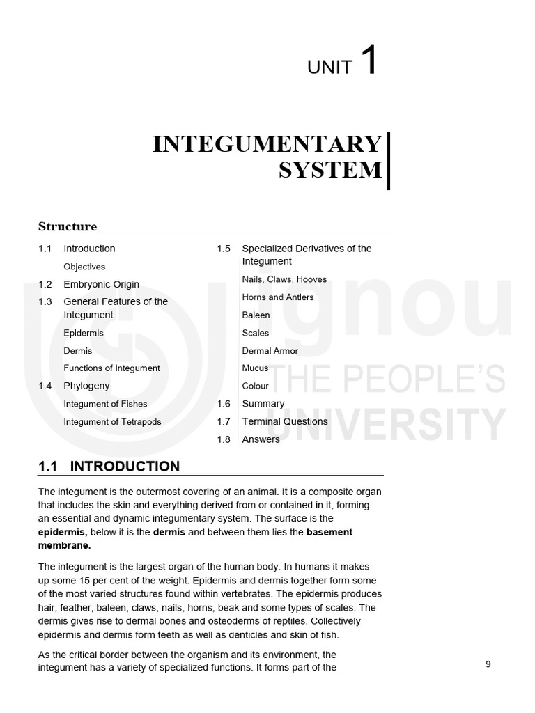 Unit 1 Integumentary System | PDF | Wellness | Science & Mathematics