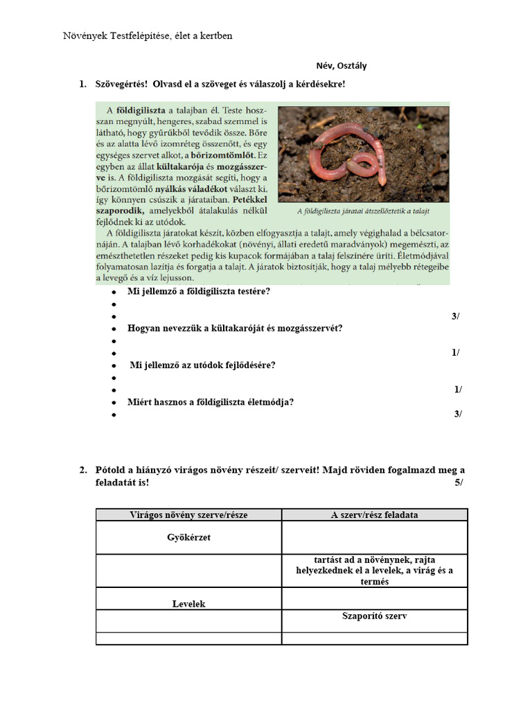 5 b5 C-Dolgozat | PDF