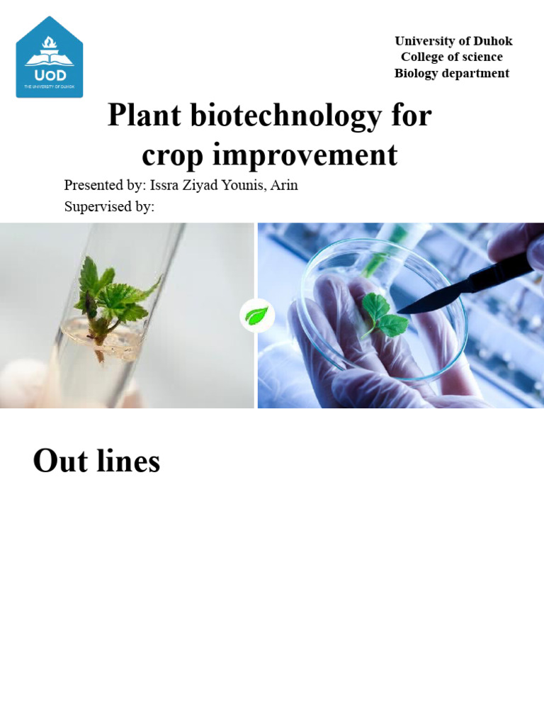 Plant-Biotechnology For Crop Improvement | PDF | Plant Breeding ...