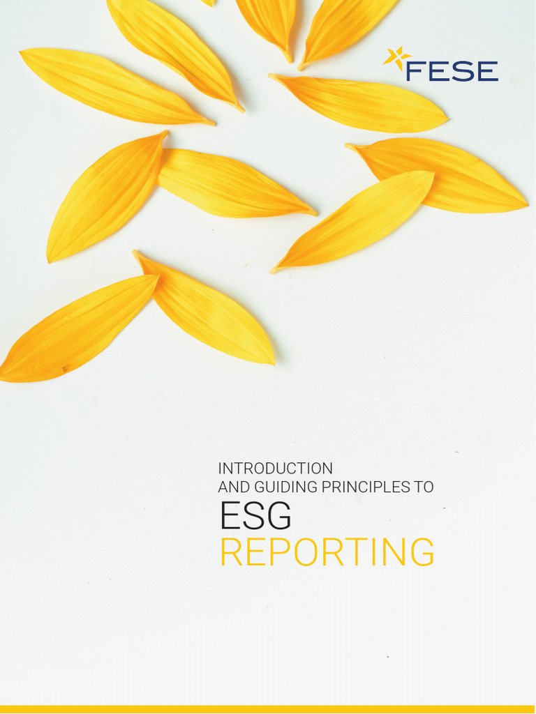 ESG Introduction and Guiding Principles 2020 | PDF | Sustainability ...