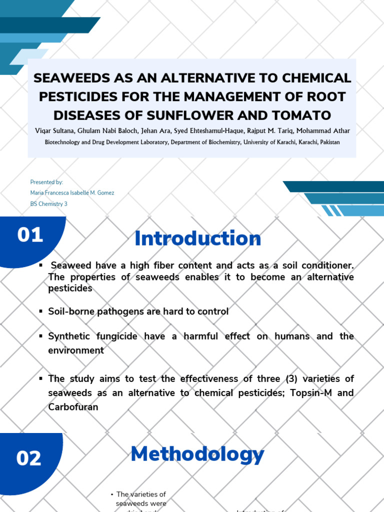 Seaweed | PDF