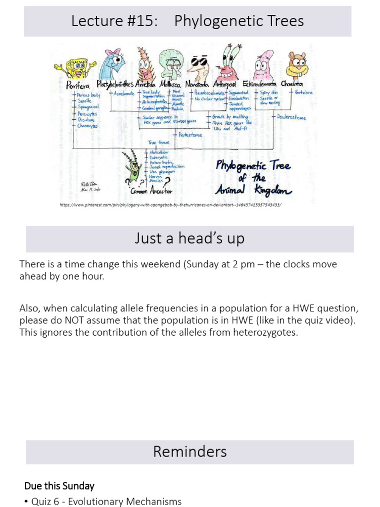 Lecture #15 - Phylogenetic Trees | PDF | Genetic Diversity | Genetics