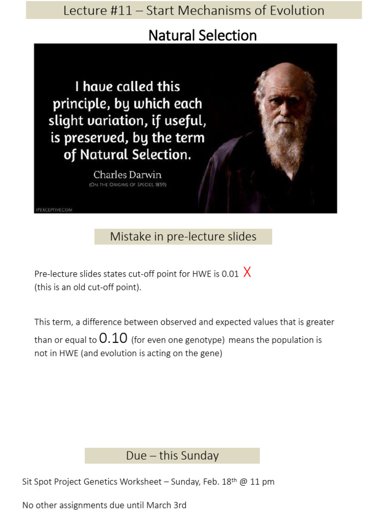 Lecture #11 - HWE Question + Natural Selection Part I | PDF | Evolution ...
