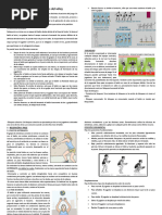 Tipos de Toques en Voleibol | PDF | Vóleibol | Deportes