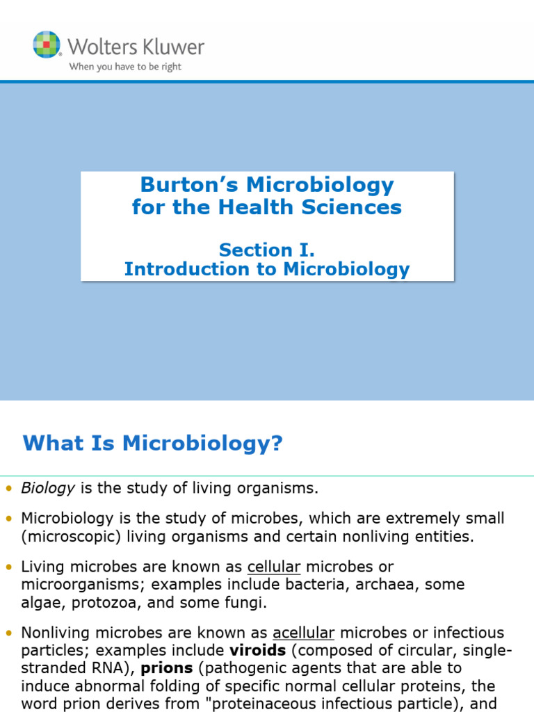 Lecture 1 Introduction To Microbiology | PDF | Microorganism | Microbiology