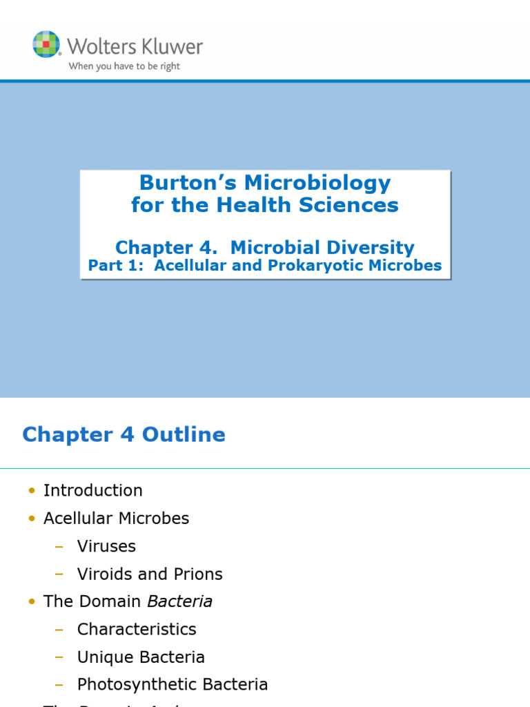 Microbial Diversity Part 1: Acellular and Prokaryotic Microbes | PDF ...