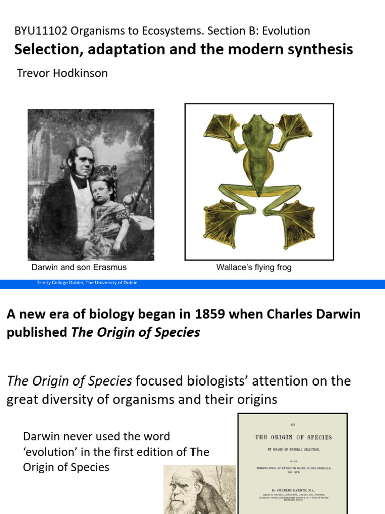 3 Selection And The Modern Synthesis Pdf Natural Selection Evolution