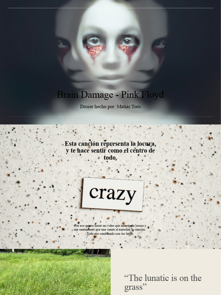 Dosier Brain Damage PP | PDF