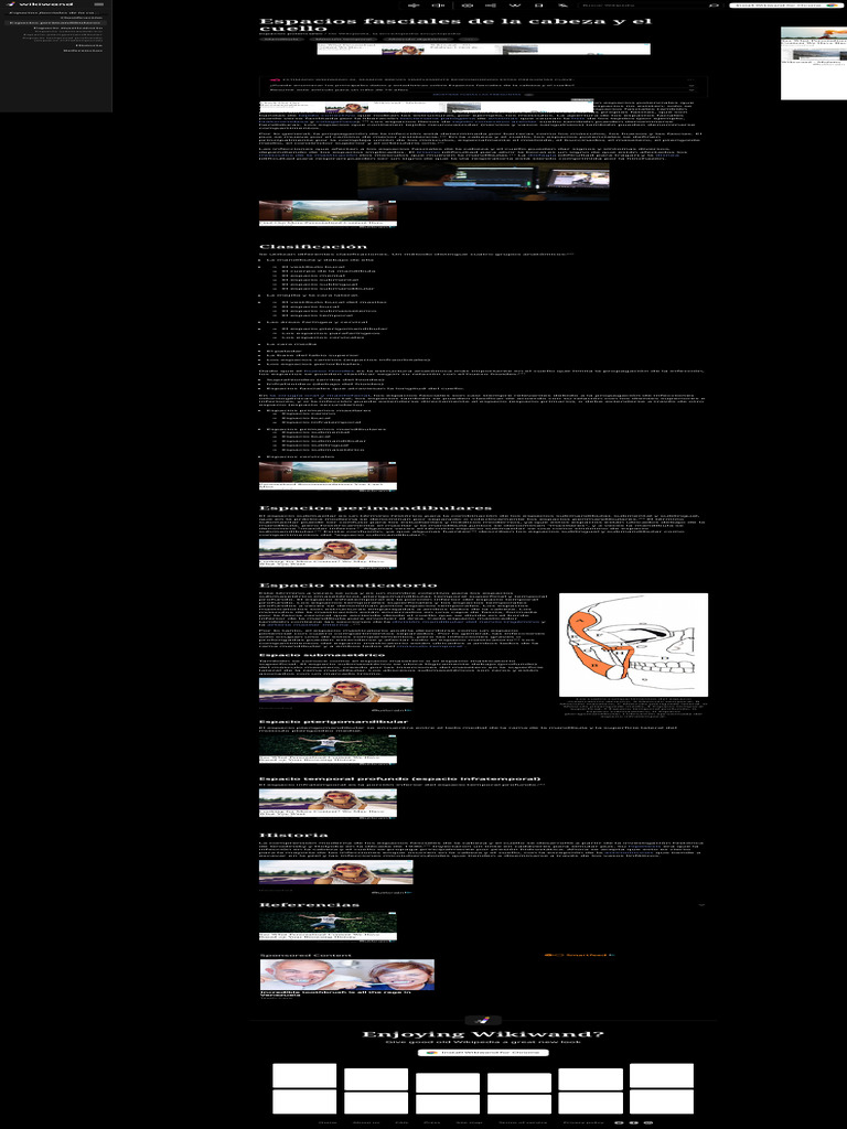 Espacios Fasciales de La Cabeza y El Cuello - Wikiwand | PDF | Cabeza y ...