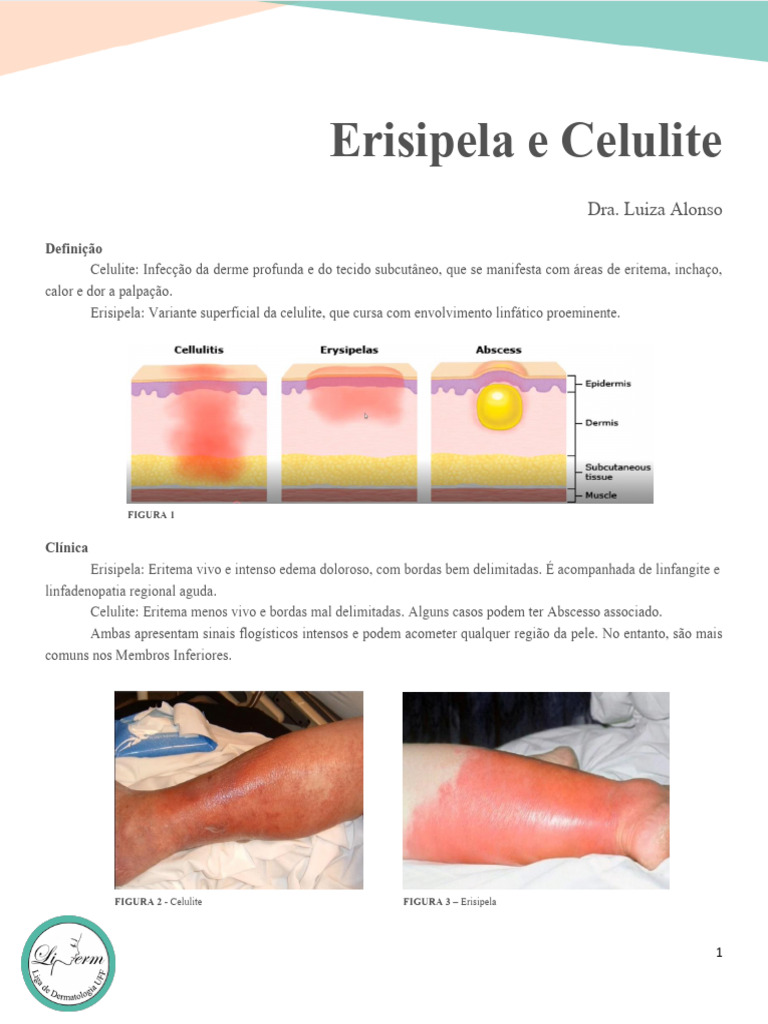 Resumo de Erisipela e Celulite Dra Luiza Alonso | PDF | Microbiologia ...