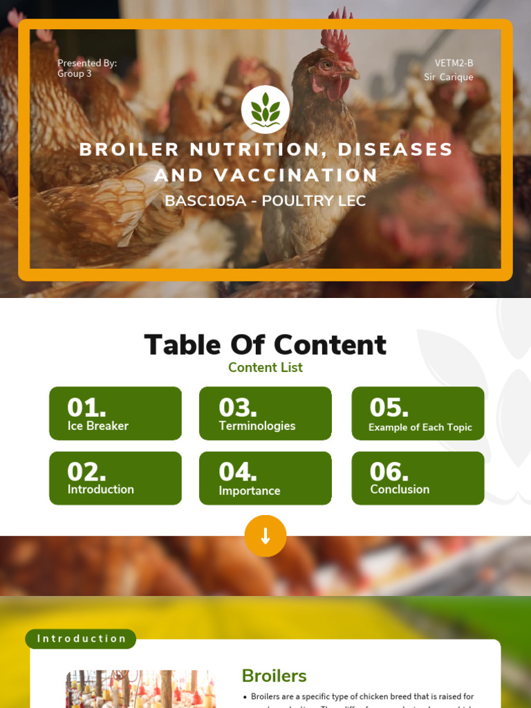 GRP 3 - Broiler Nutrition, Diseases and Vaccination | PDF | Broiler | Vitamin