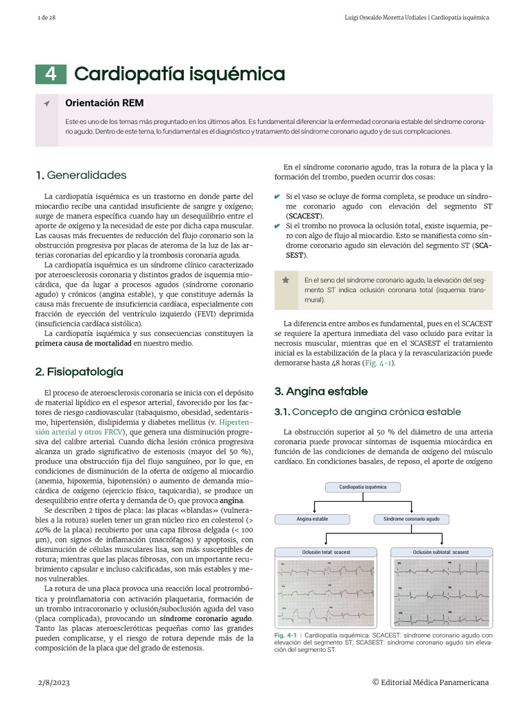 Cardio 4 Prorem | PDF