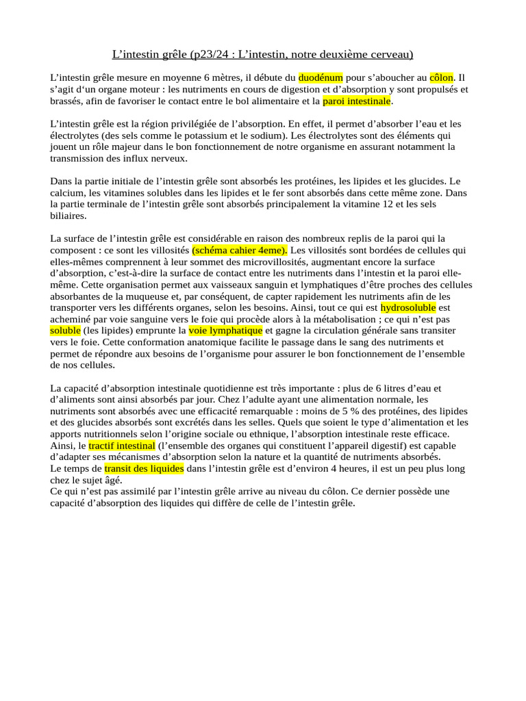 Rôle et fonction de l'intestin grêle | PDF