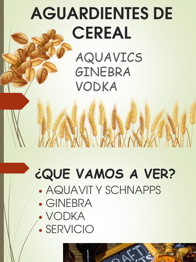 Aguardientes de Cereal | PDF | Ginebra | Vodka