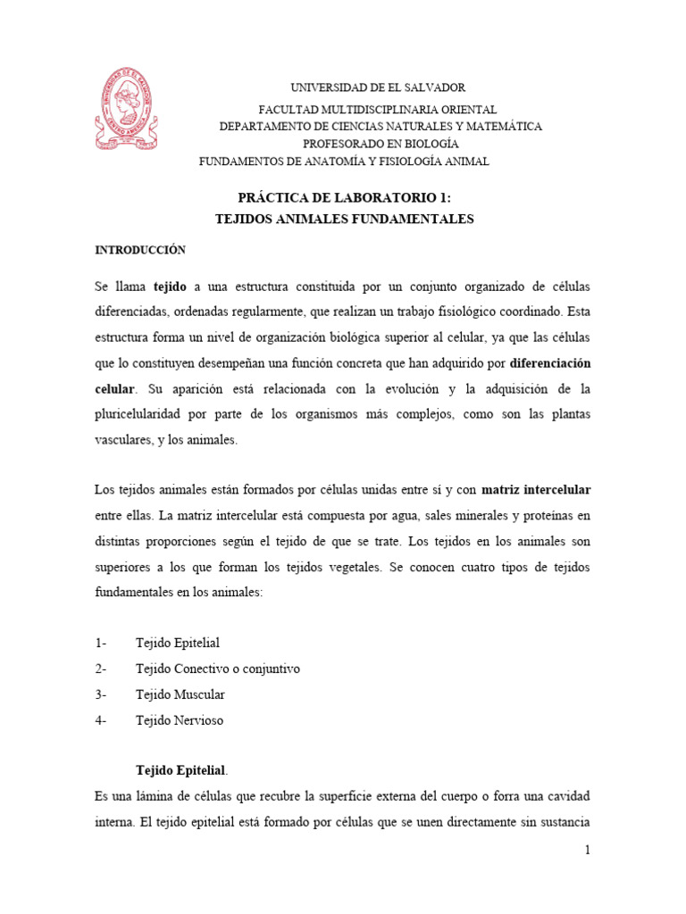 Pr-Ctica 1. Tejidos Fundamentales | PDF