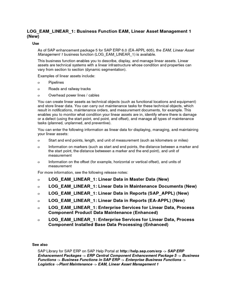 LAM-PACK 5.sap1-ag (1) | PDF | Computing | Information Technology