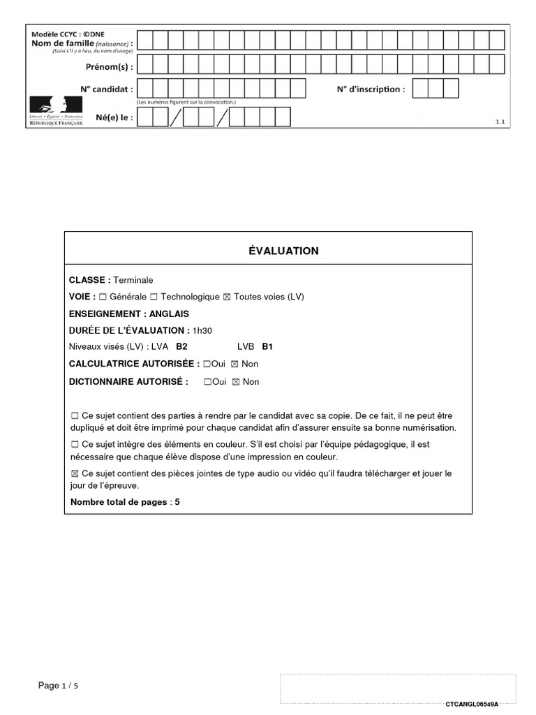 CTCANGL06549A Banksy S Provocative Humour | PDF