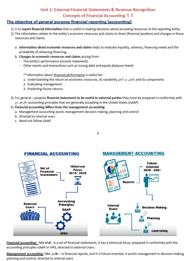 Financial Accounting Basics & Users Guide | PDF