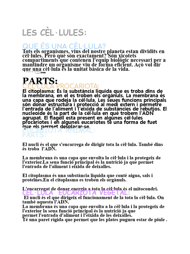 Les Cel Lules | PDF