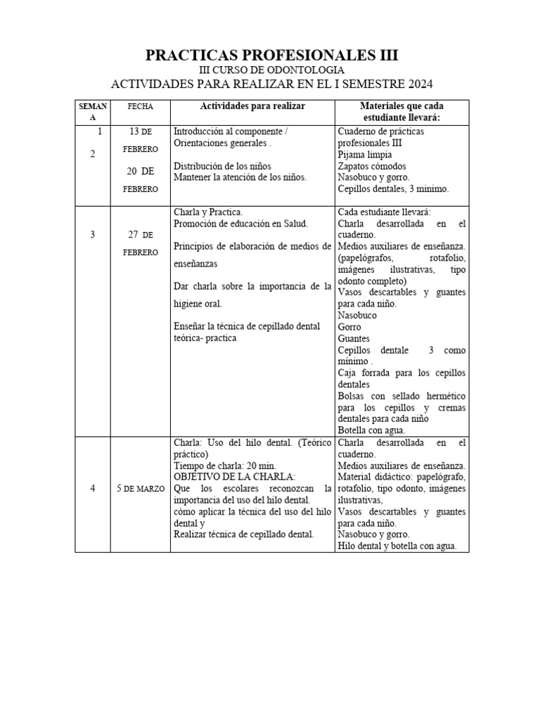 Plan de Actividades de Practicas Profesionales I | PDF | Boca ...