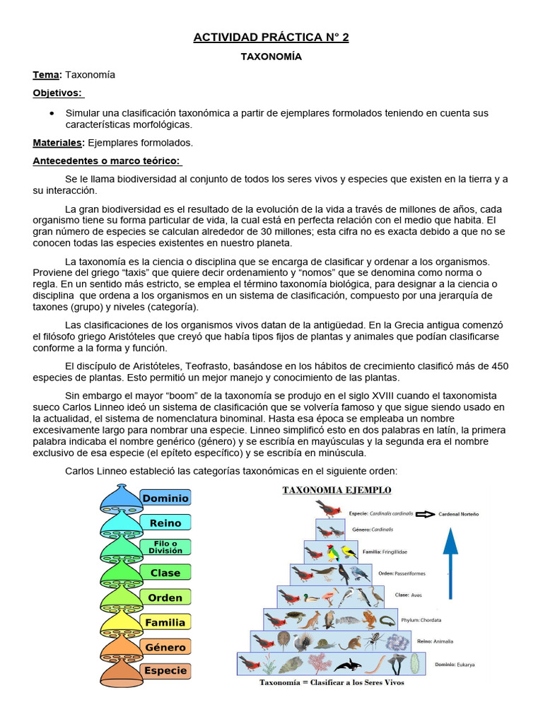 Actividad Practica 2 - Taxonomía | PDF