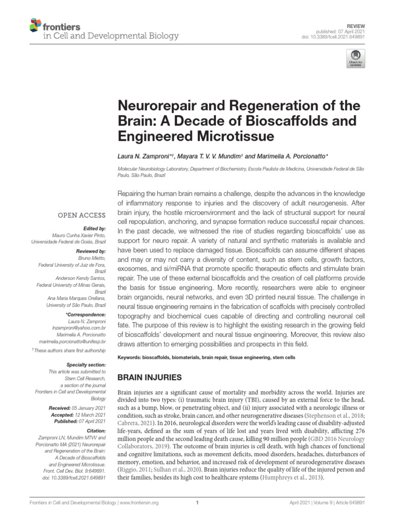 Neurorepair and Regeneration of The Brain A Decade | PDF | Extracellular Matrix | Astrocyte
