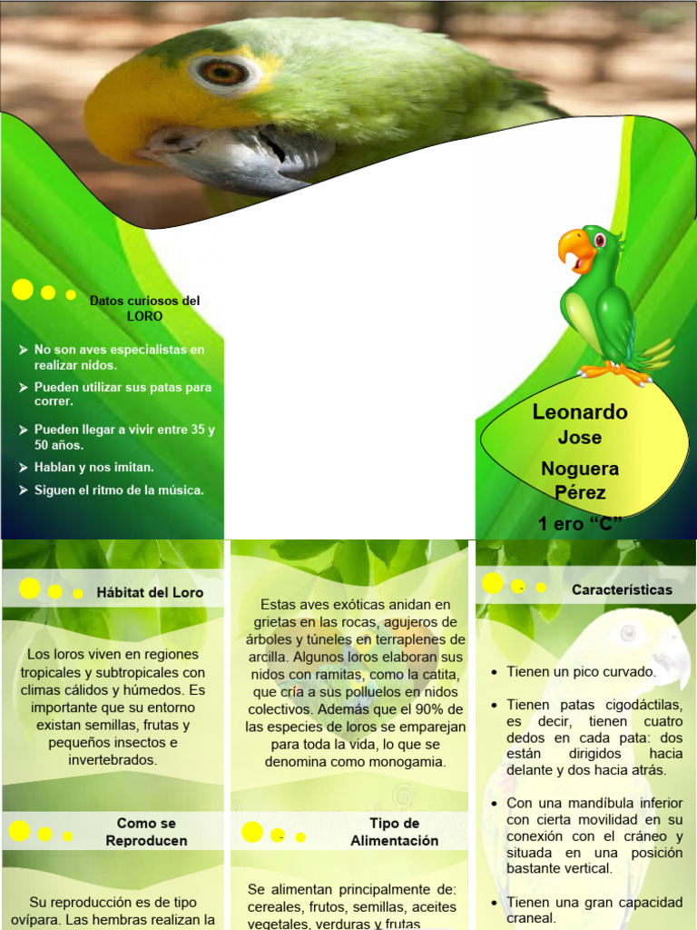 Triptico Del Loro | PDF