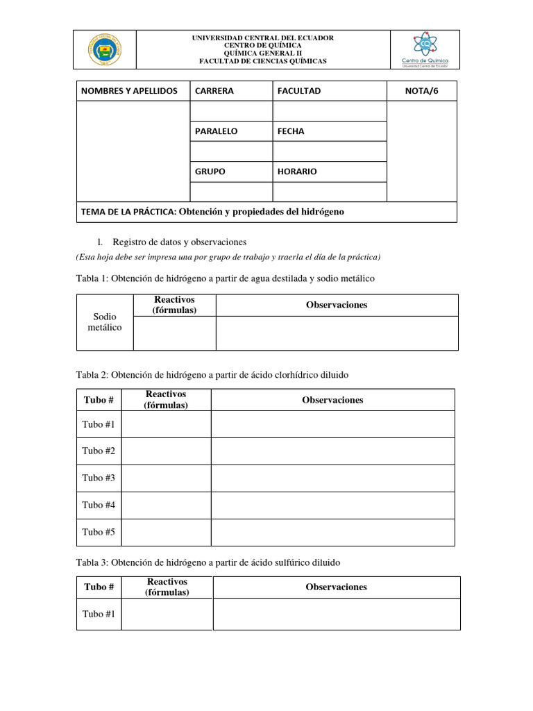 T5-Hoja de Datos-Obtención de Hidrógeno | PDF