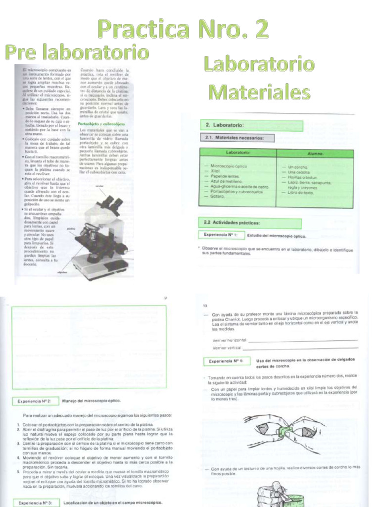 Practica Nro 2 | PDF