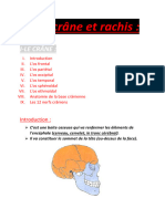 Anatomie et Fractures du Rocher | PDF | Tête et cou chez l'humain ...
