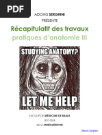 Anatomie du diaphragme stylien | PDF | Tête et cou chez l'humain ...