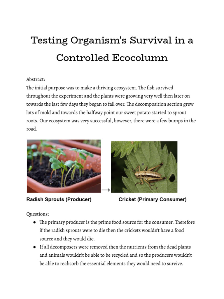 Ecocolumn 20project 20 Pdf Pdf