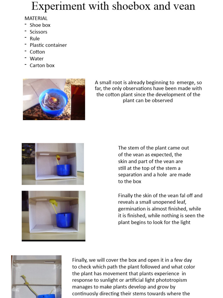 Experiment With Shoebox and Vean | PDF | Science & Mathematics