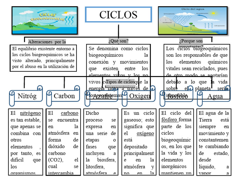 T3. Mapa Conceptual Sobre Ciclos Biogeoquimicos | PDF