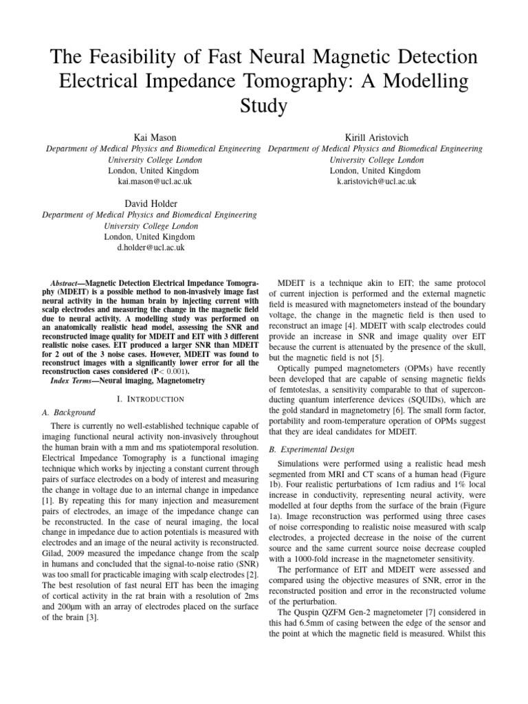 Mason - The Feasibility of Fast Neural Magnetic Detection Electrical Impedance Tomography - AAM ...