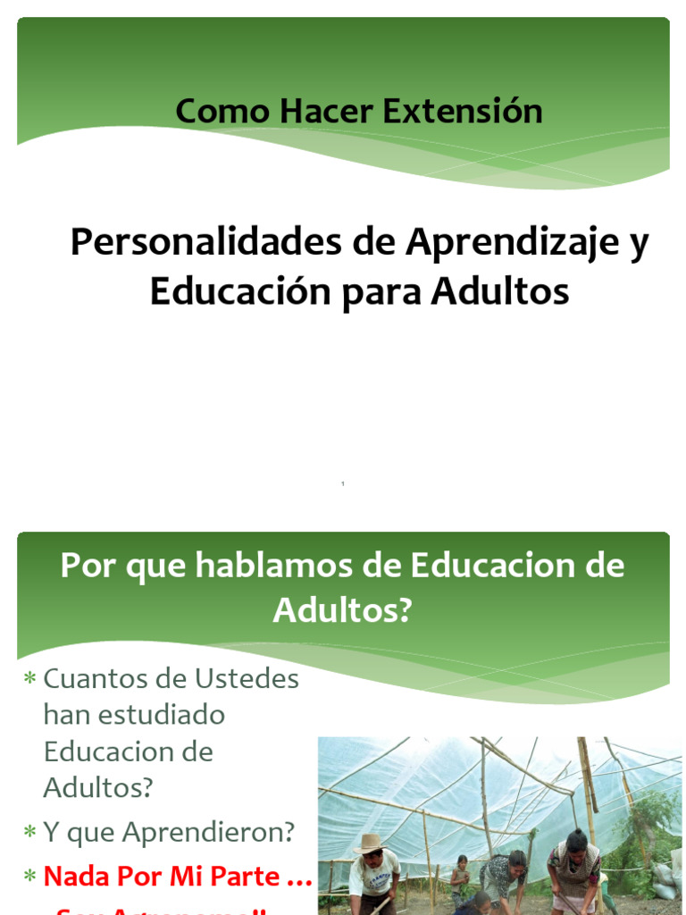 Como Se Hace Extensión Mch | PDF