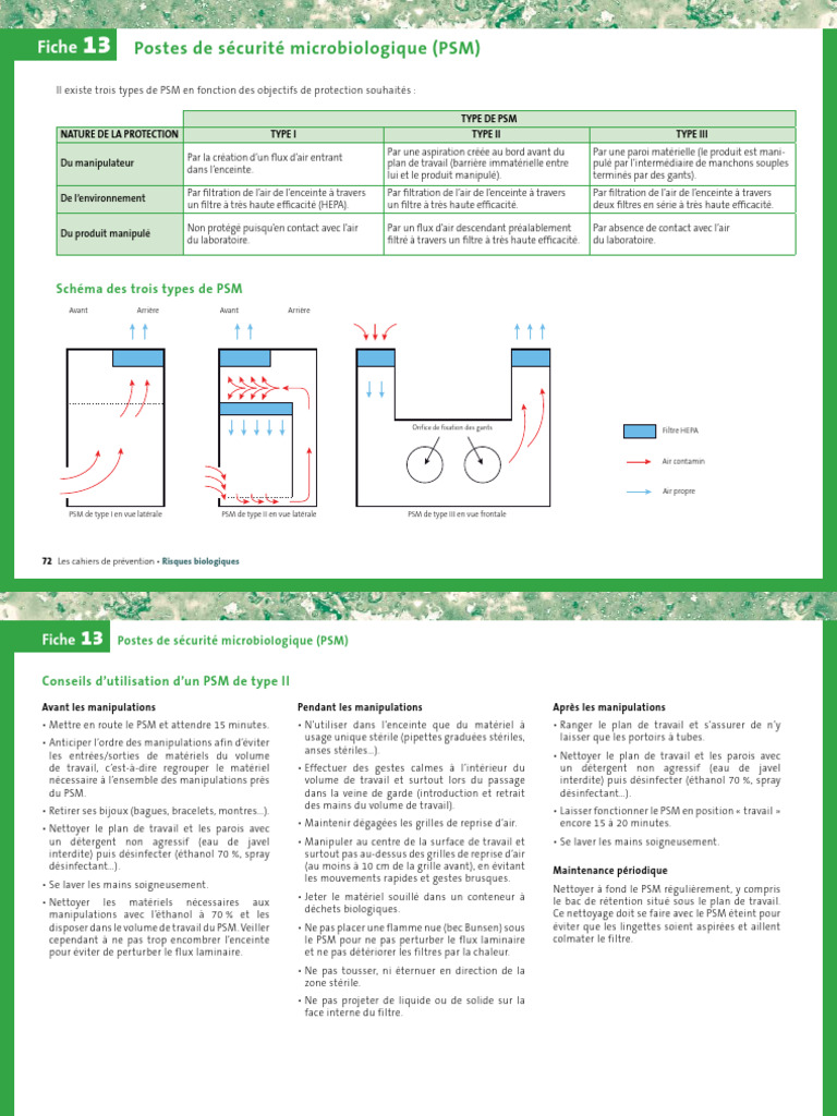 Fiche 13 - PSM | PDF