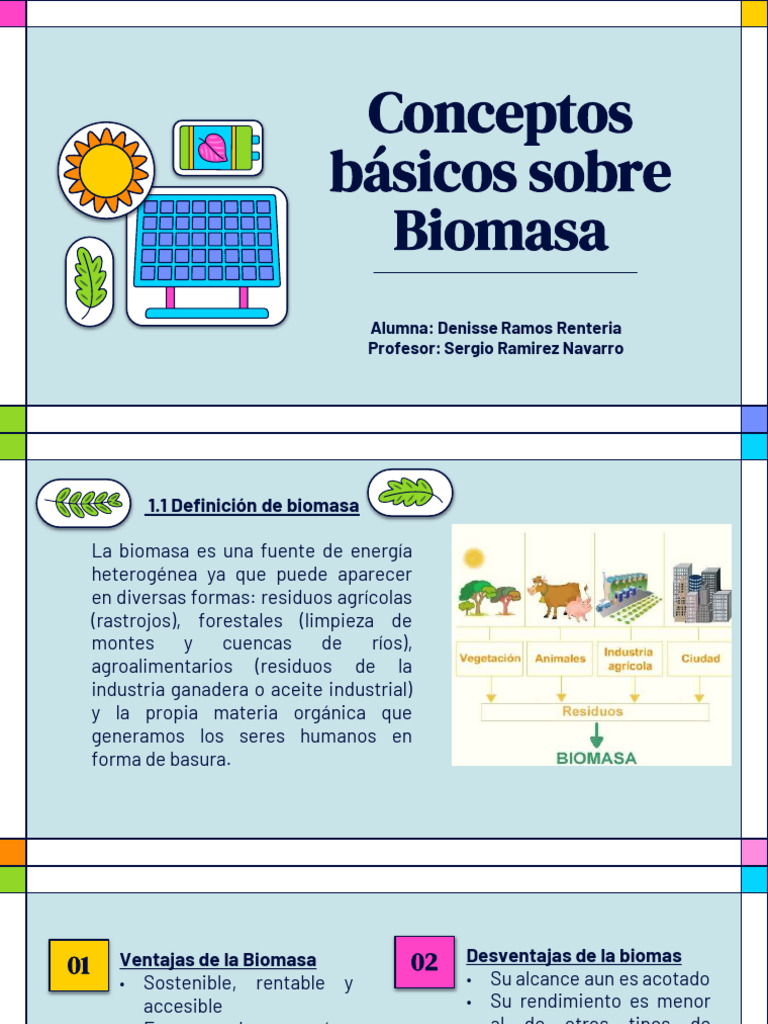 Conceptos Basicos Sobre Biomasa | PDF | Biomasa | Biocombustible