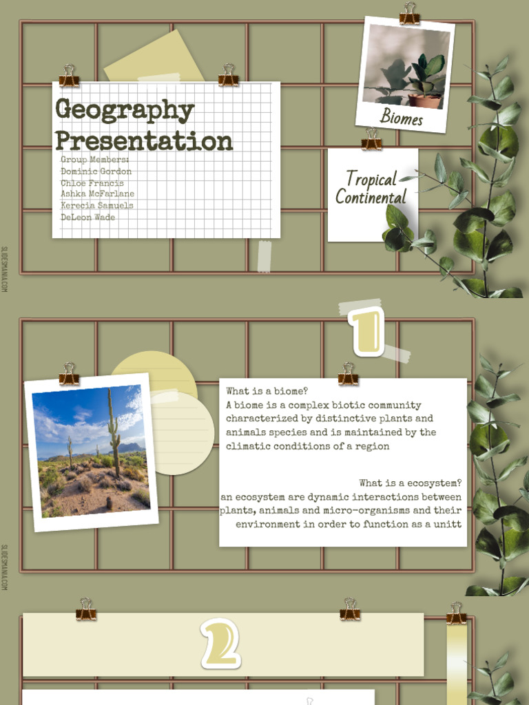 Geography Group Presentation Biomes Group 6 | PDF