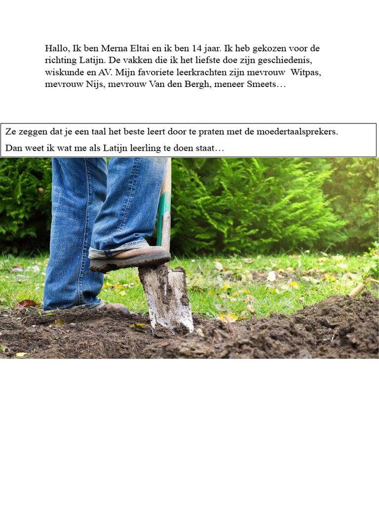 Studierichting | PDF