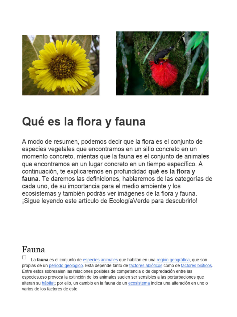 Qué Es La Flora y Fauna | PDF