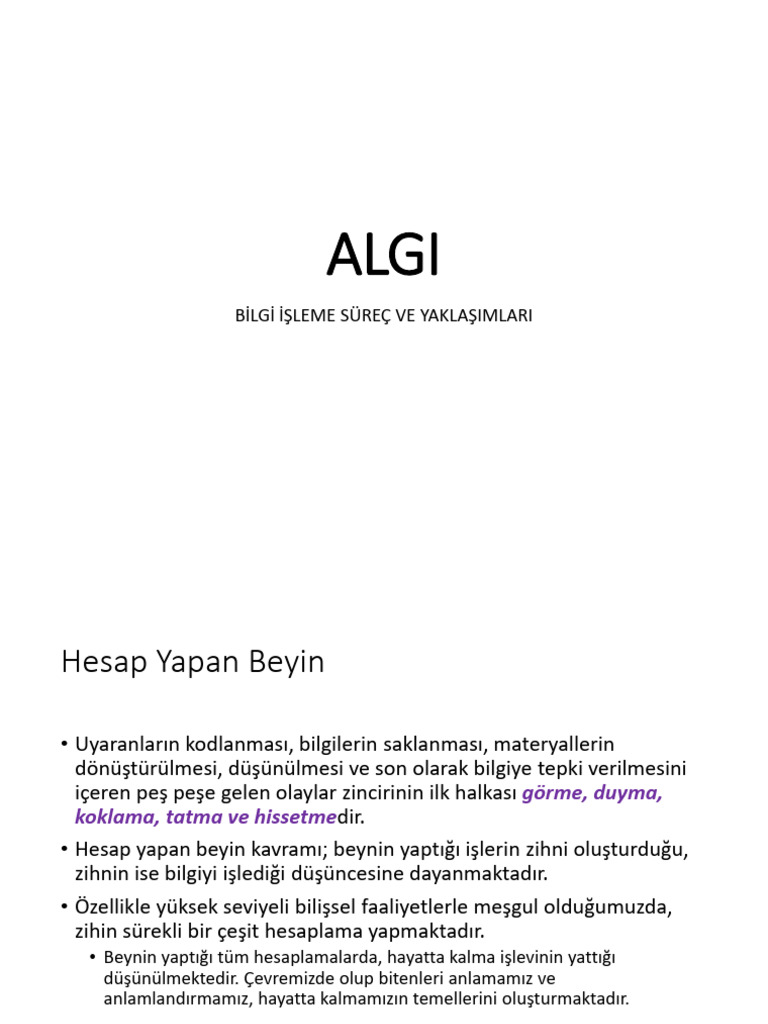 Algi | PDF