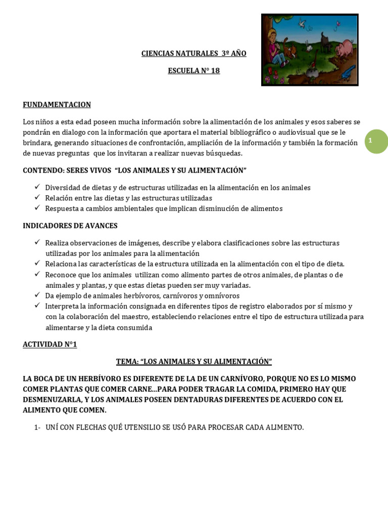 Animales y su Alimentación | PDF | Diente | Boca