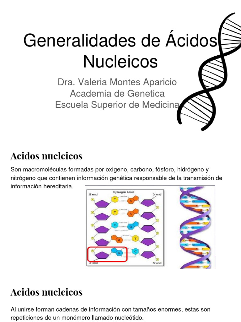 Generalidades de Ácidos Nucleicos | PDF | Adn | Ácidos nucleicos