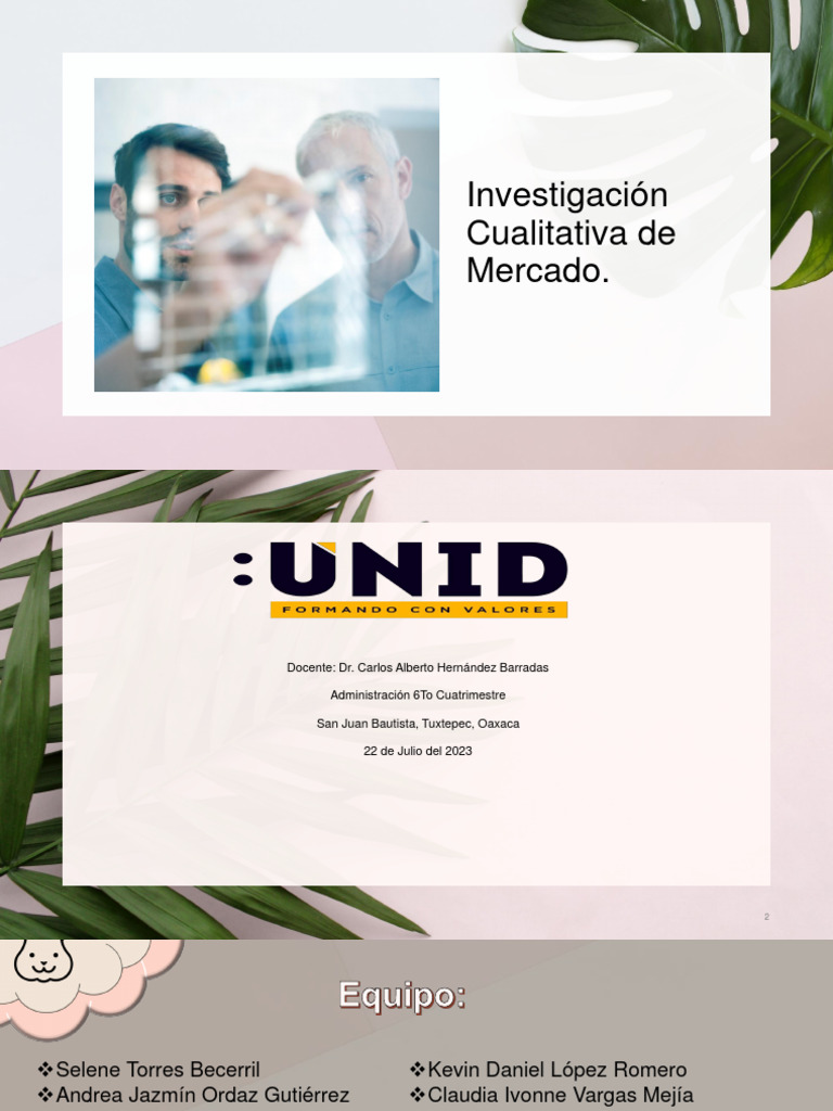 Proyecto Final - C | PDF | Metodología de encuesta | Enseñando