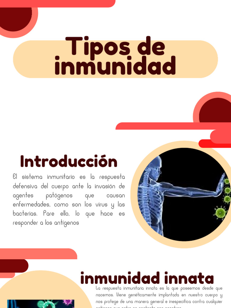 Tipos de Inmunidad | Descargar gratis PDF | Sistema inmune | Sangre