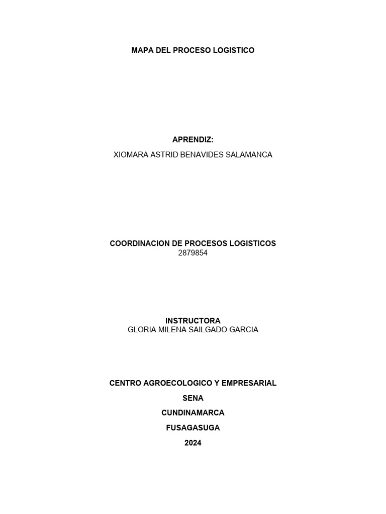 Mapa Del Proceso Logistico | PDF