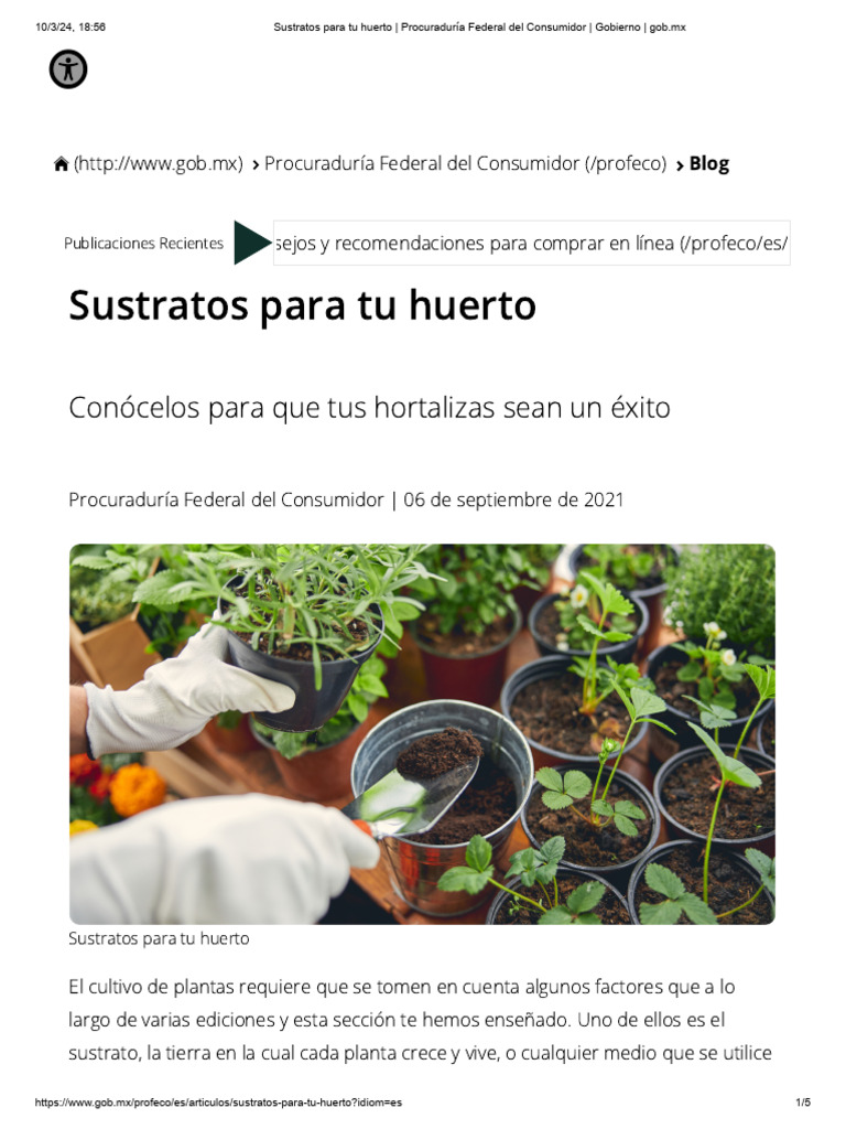 Sustratos para Tu Huerto | PDF | Suelo | Huerta